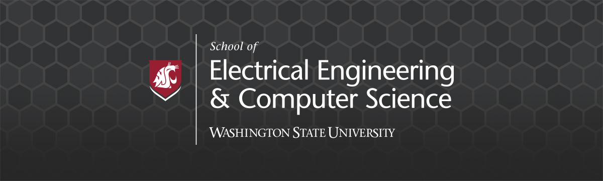 Washington State University