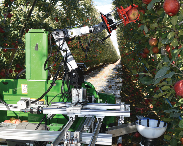 Washington State University